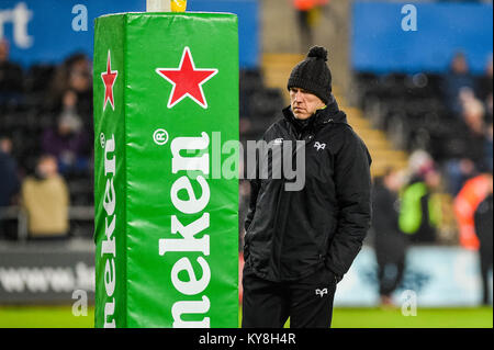 SWANSEA, WALES - Januar 13: fischadler Trainer Steve Tandy Gesten vor ...