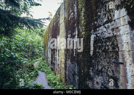 Bunker von Museum Stadt Brigid in Mamerki (Deutsch: Mauerwald) Bunker ...