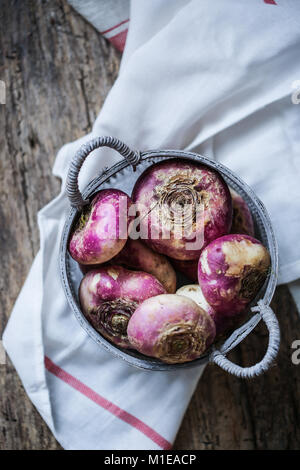 Rübe - Weiße Rübe (Brassica Rapa) in einem Gemüsegarten Stockfotografie ...