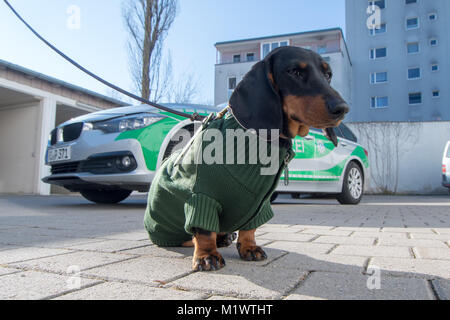 Waldkraiburg, Deutschland. 31 Jan, 2018. Polizeioffizier Marina Gutte ...