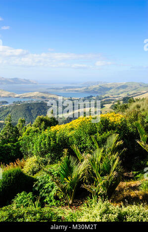 Blick über die Otago Halbinsel, Otago, Südinsel, Neuseeland, Pazifik ...
