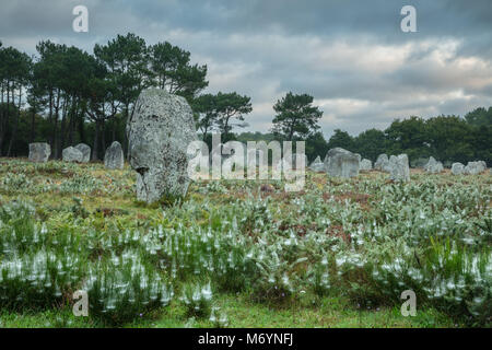Die megalithischen Menhire der Alignements de Kerlescan, Carnac ...