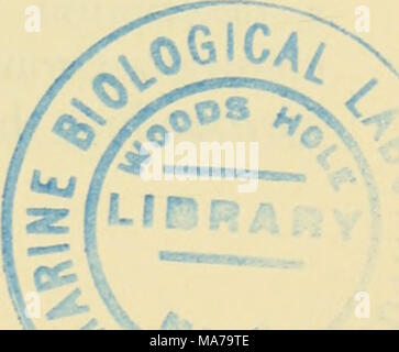 . Elektronen- mikroskopischen Struktur der Protozoen. Protozoen ...