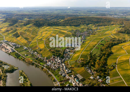Weinbaugebiet Mosel Luxemburg, Weinberge, Wellenstein, Saarland ...