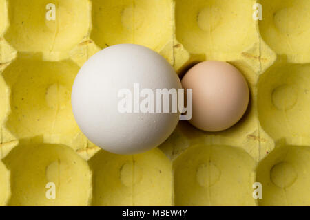 Riesige Größe gans Ei zwischen kleinen huhn eier Konzept der ...