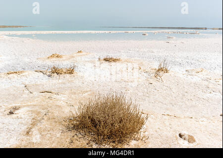 Das Tote Meer ist ein Salzsee grenzt an Jordanien im Osten und Israel ...