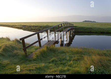 Hanswarft über die Hallig Hooge, Schleswig-Holstein, Norddeutschland ...