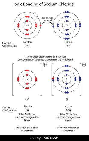 Natriumchlorid ist eine ionische Verbindung mit der chemischen Formel ...