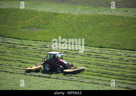 Bauern ernten ein Feld mit Hilfe von landwirtschaftlichen Maschinen ...