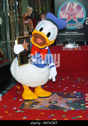 Donald Duck erhielt die 2257Th Stern auf dem Hollywood Walk of Fame in ...