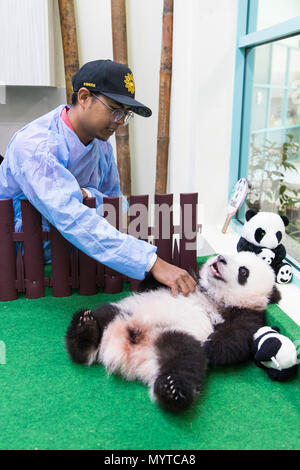 Kuala Lumpur, Malaysia. 8. Juni 2018. Akmal Hadi Bin Samsuddin Posen ...