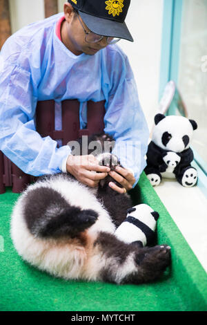 Kuala Lumpur, Malaysia. 8. Juni 2018. Akmal Hadi Bin Samsuddin Posen ...