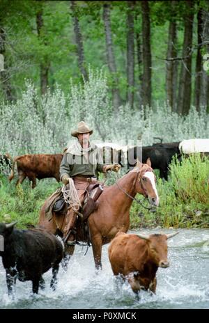 OPEN RANGE / Open Range USA 2003 / Kevin Costner Szene Mit Denton ...