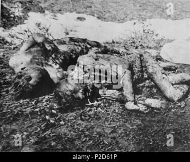Die Leichen von Gefangenen, die von der Ustasa in Jasenovac ...
