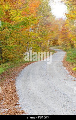 Herbstlaub entlang der Gale River Loop Road in Bethlehem, New Hampshire ...