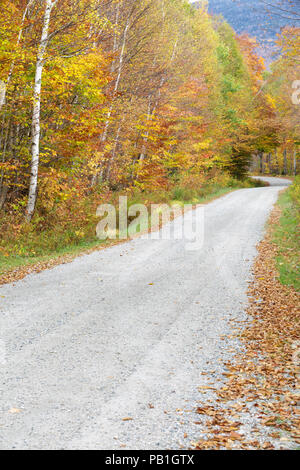 Herbstlaub entlang der Gale River Loop Road in Bethlehem, New Hampshire ...