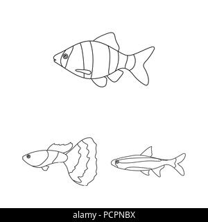 Verschiedene Arten von Fisch Umrisse Symbole im Set Sammlung für Design ...