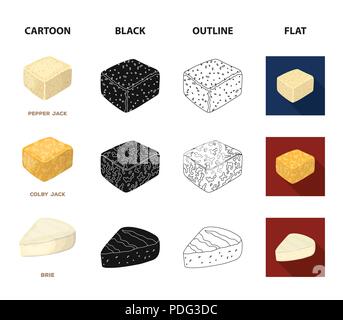Schafkäse, geräuchert, Colby jack, Pfeffer Jack. Verschiedene Sorten ...