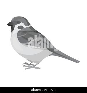 Cartoon grauer Spatz. Abbildung auf weißem Hintergrund Stockfoto, Bild ...