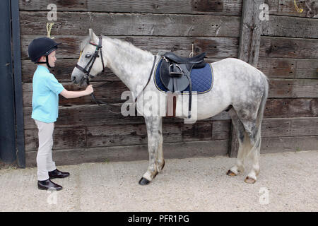 Ein voll gesattelten Pferd steht auf der Weide warten auf seinem Reiter ...