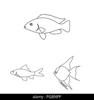 Verschiedene Arten von Fisch Umrisse Symbole im Set Sammlung für Design ...