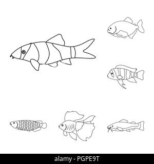 Verschiedene Arten von Fisch Umrisse Symbole im Set Sammlung für Design ...