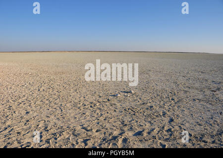 Sand, Salz und wildllife - Spuren in der trockenen Savanne mit endlosen ...