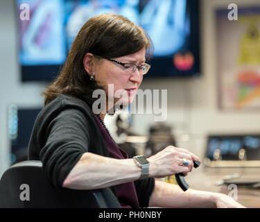Ricki Selva, Gatte der US Air Force General Paul J. Selva, der ...