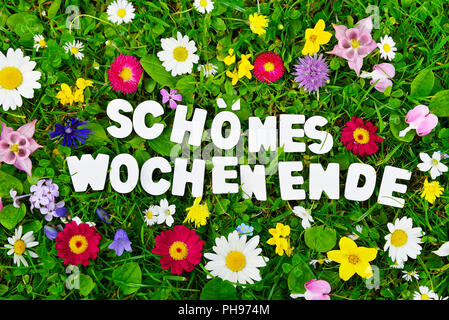 Schönes Wochenende text auf Blumenwiese Stockfotografie - Alamy