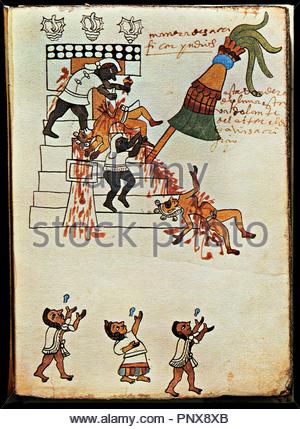Aztekische Menschenopfer. Historia de Los Indios von Diego Duran, 1579 ...