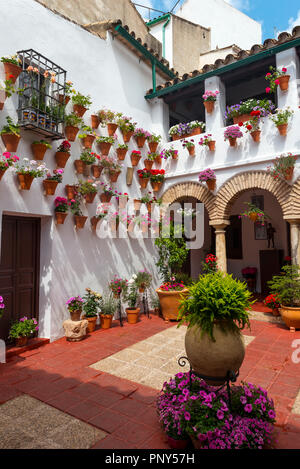 Vielen Blumen in Blumentöpfen im Hof auf einer Hauswand, Fiesta de los ...