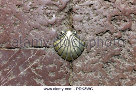 Jakobsmuschel als Symbol für den Pilgerweg Stockfoto, Bild: 146960269 ...