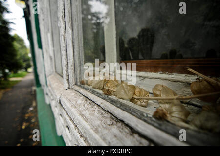 Traditionelle russische Datscha Haus. Wladimir, Russland ...
