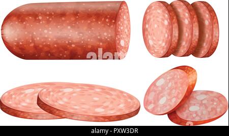 Scheiben Salami Wurst. Fleisch Wurstwaren Produkt. Vektor ...