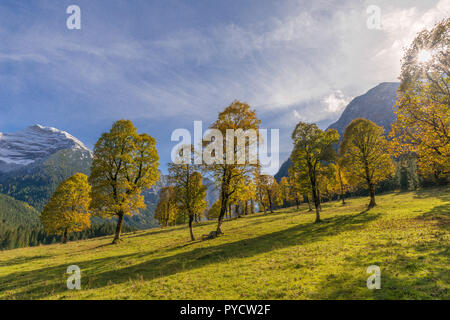 Engtal oder engen Tal, Maple Valley, großer Ahornboden, tolle Ahorn ...
