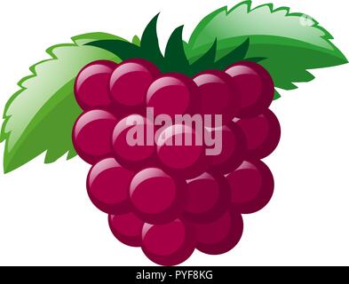 Himbeere Vektor-illustration, Berry clipart. Cartoon himbeere Vector ...