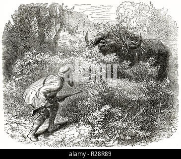 Jagd, Großwildjagd, Büffeljagd, in Texas, Rotindische Jagd Büffel mit ...