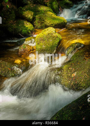 Schlucht, Fluss, Bach, Wasser, Ysperklamm, Waldviertel ...