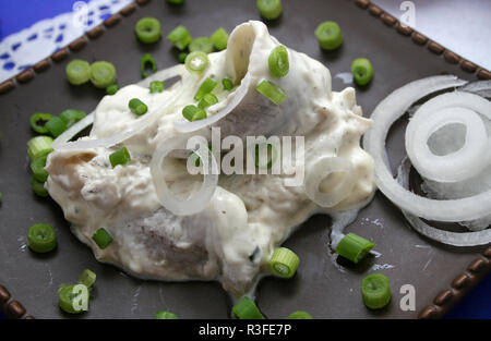 Fisch Fische Hering Heringe essen Nahrungsmittel traditionelle Zwiebel ...