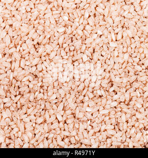 Mittelkörniger rot Matta (Devzira) Reis Nahaufnahme Stockfotografie - Alamy