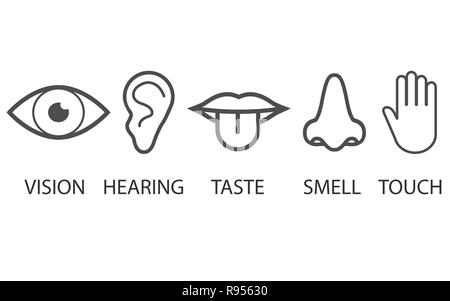 Satz von fünf menschlichen Sinne. Sehen, Hören, Fühlen, Schmecken ...