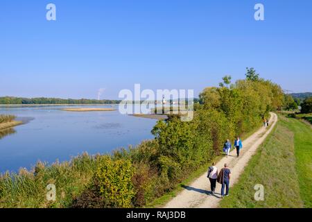 Echinger Stausee, Eching, Naturschutzgebiet Vogelschutzgebiet Mittlere ...