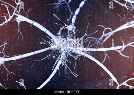 Gehirn, neuronales Netz Stockfoto, Bild: 37882182 - Alamy