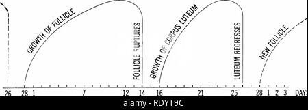 . Grundsätze der modernen Biologie. Biologie. Die endokrine Drüsen, die ...