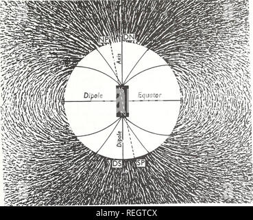 Magnetische Feldlinien des Stabmagneten. Die kleinen Magneten Nadel ...