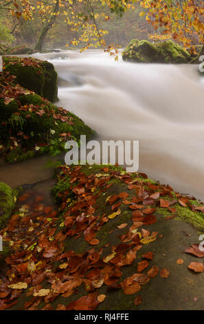 Irrel Natur, Eifel, Deutschland, Rheinland-Pfalz, Naturpark Eifel ...