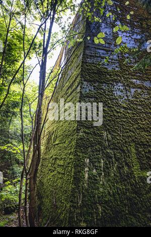 Mamerki (Deutsch: Mauerwald) Bunker komplex - das ehemalige ...