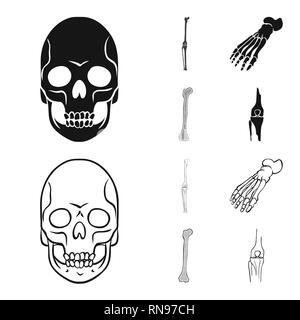 Schädel, Knie, Fuß, Oberschenkel, Tod, gemeinsame, Knöchel, Bony ...