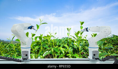 Landwirtschaft vertikale Landwirtschaft Technologie, künstliche ...