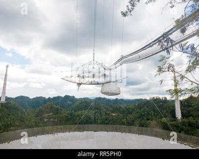 Arecibo, Puerto Rico. Januar 2019. : Das Radioteleskop Arecibo ...